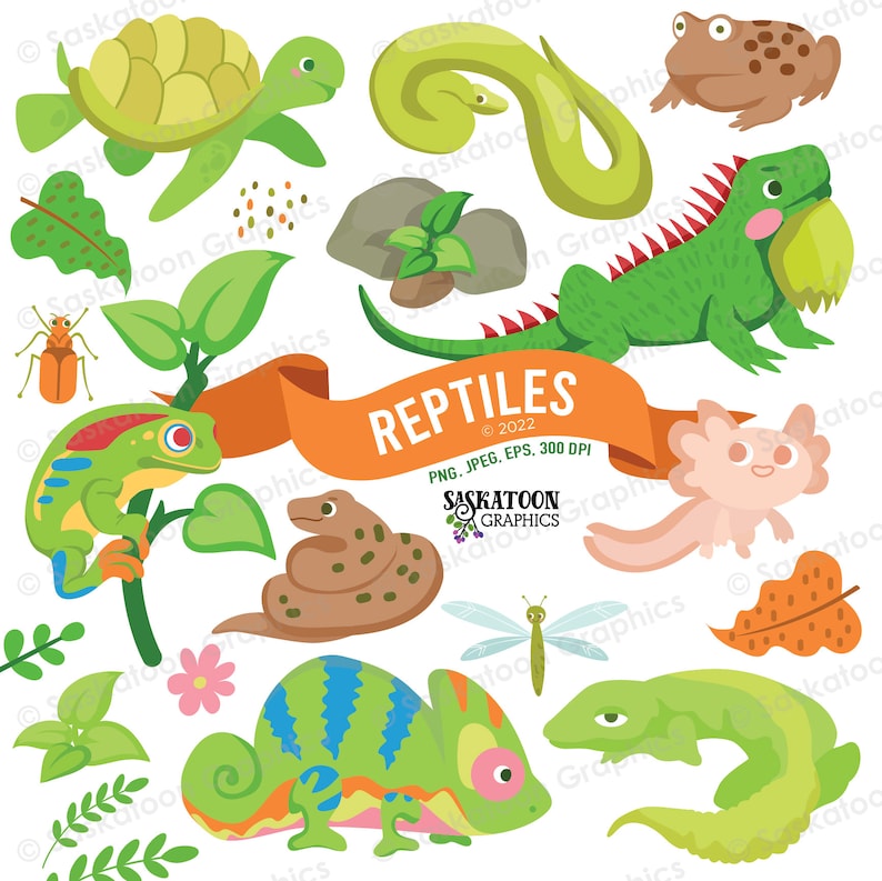 Reptile Clip Art - Lizards and Bugs - Instant Download File - Digital ...