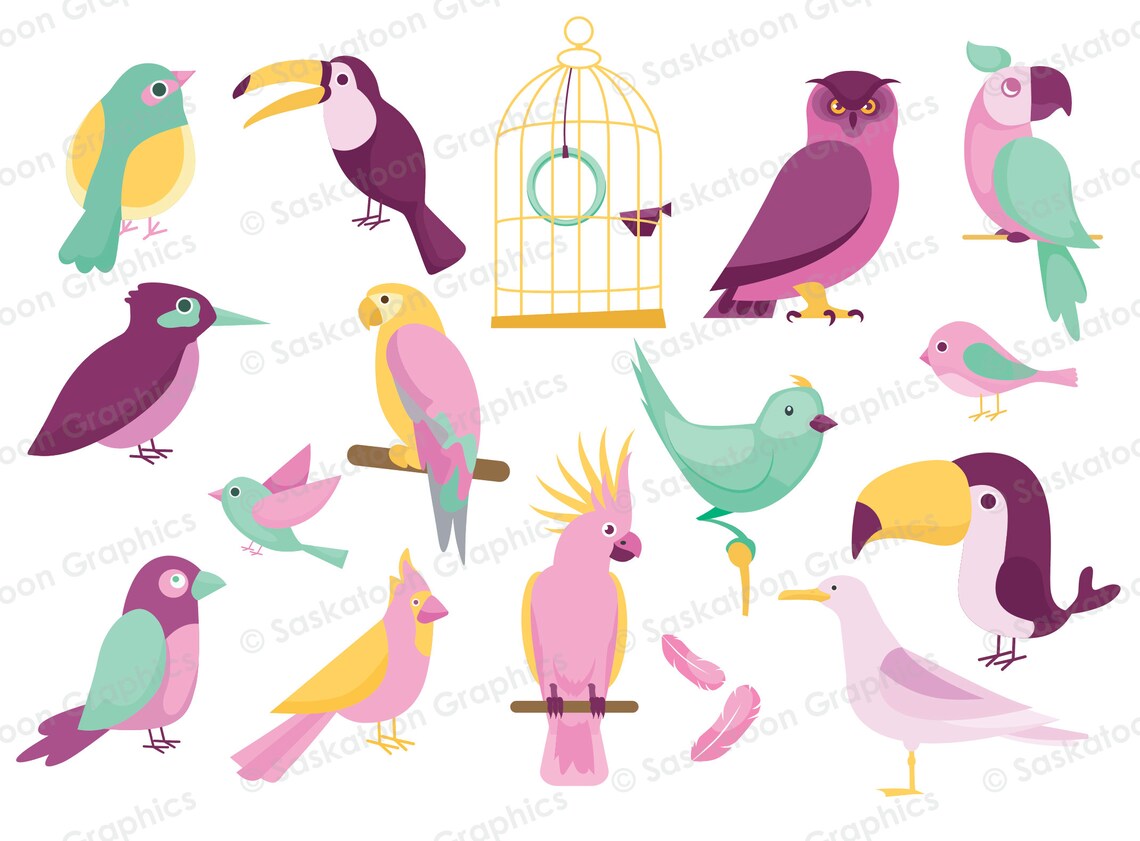 Pet Birds Clip Art Wild Animals Instant Download File - Etsy