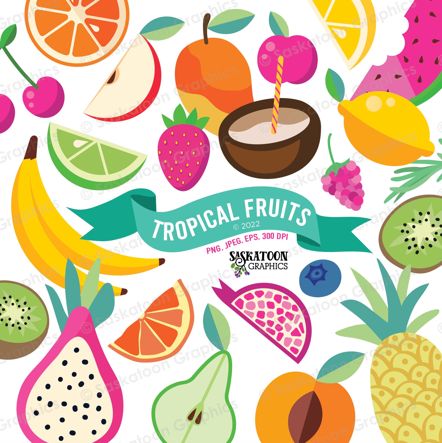 Tropical Fruit Clip Art Set - Instant Download File - Digital Graphics ...
