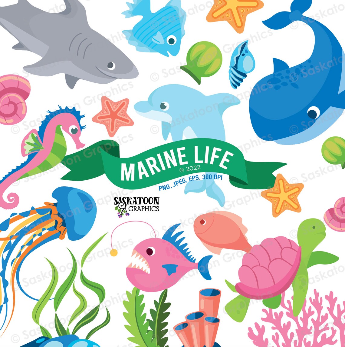 Marine Life Ocean Clip Art -instant Download File - Digital Graphics ...