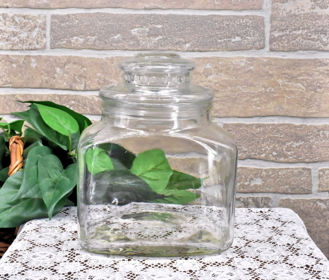 Vintage Clear Glass Apothecary Jar Etsy