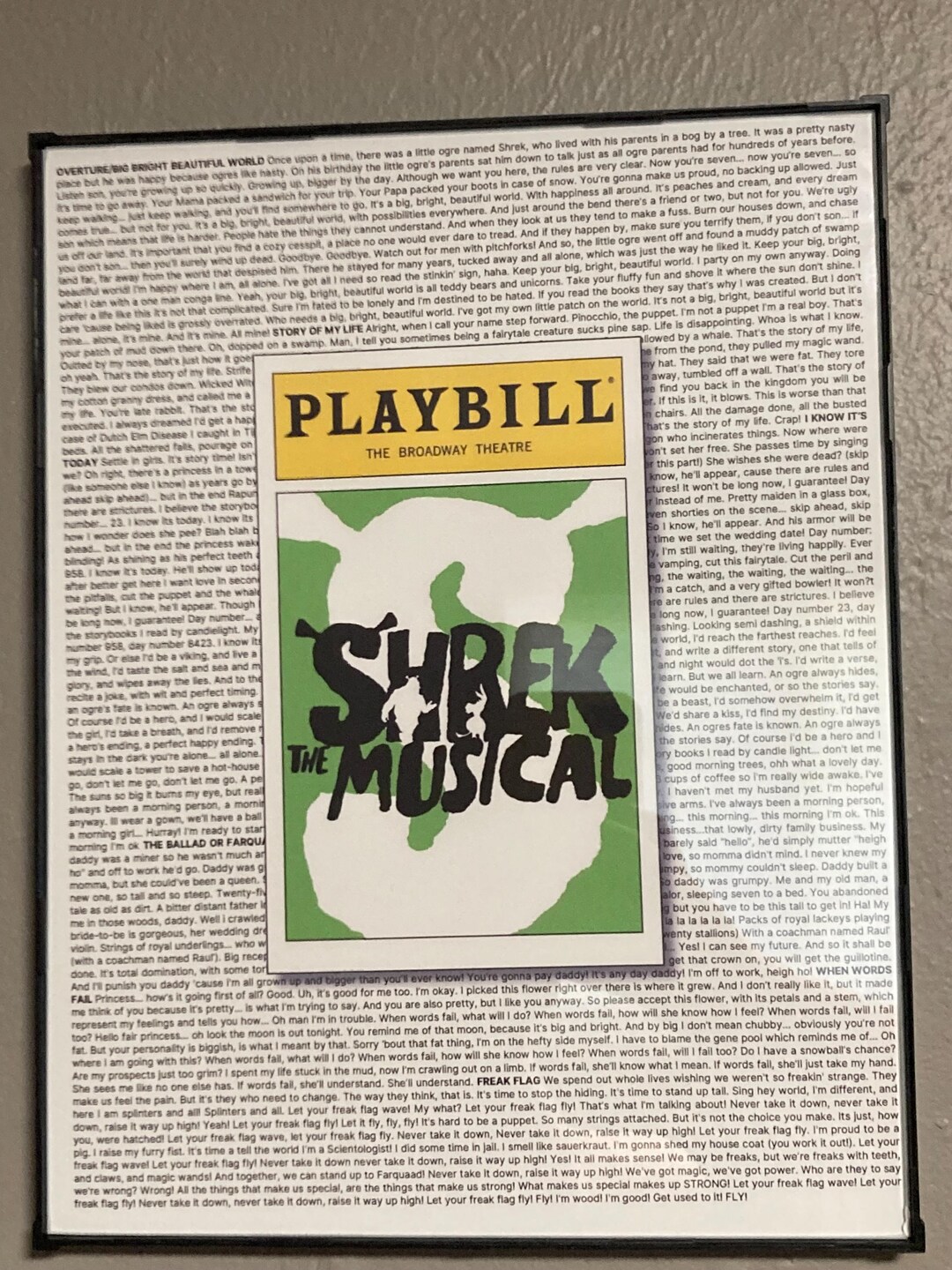 Shrek the Musical Playbill/lyric Poster - Etsy