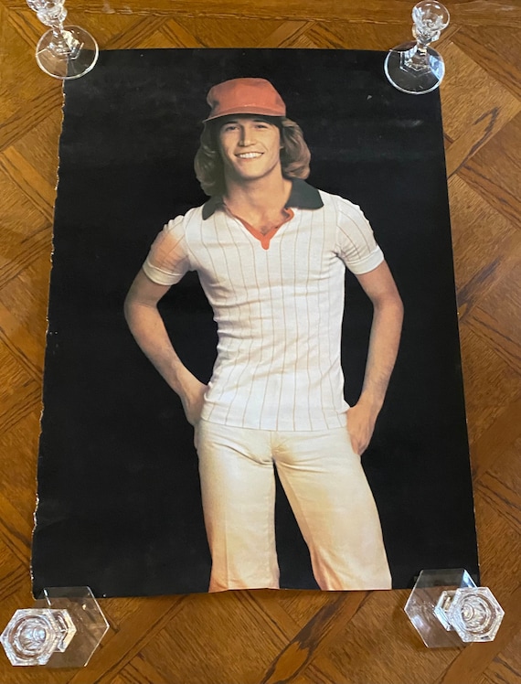 1978 ANDY GIBB Velvet Flocked POSTER Pro Arts Stigwood Mr Gibb - Etsy