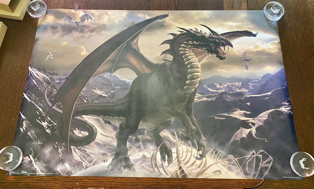 2007 Tom Wood's Rogue Dragon Poster 25x37 In - Etsy
