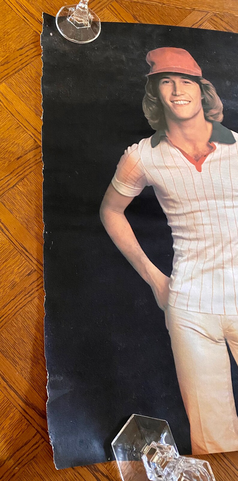 1978 ANDY GIBB Velvet Flocked POSTER Pro Arts Stigwood Mr Gibb | Etsy