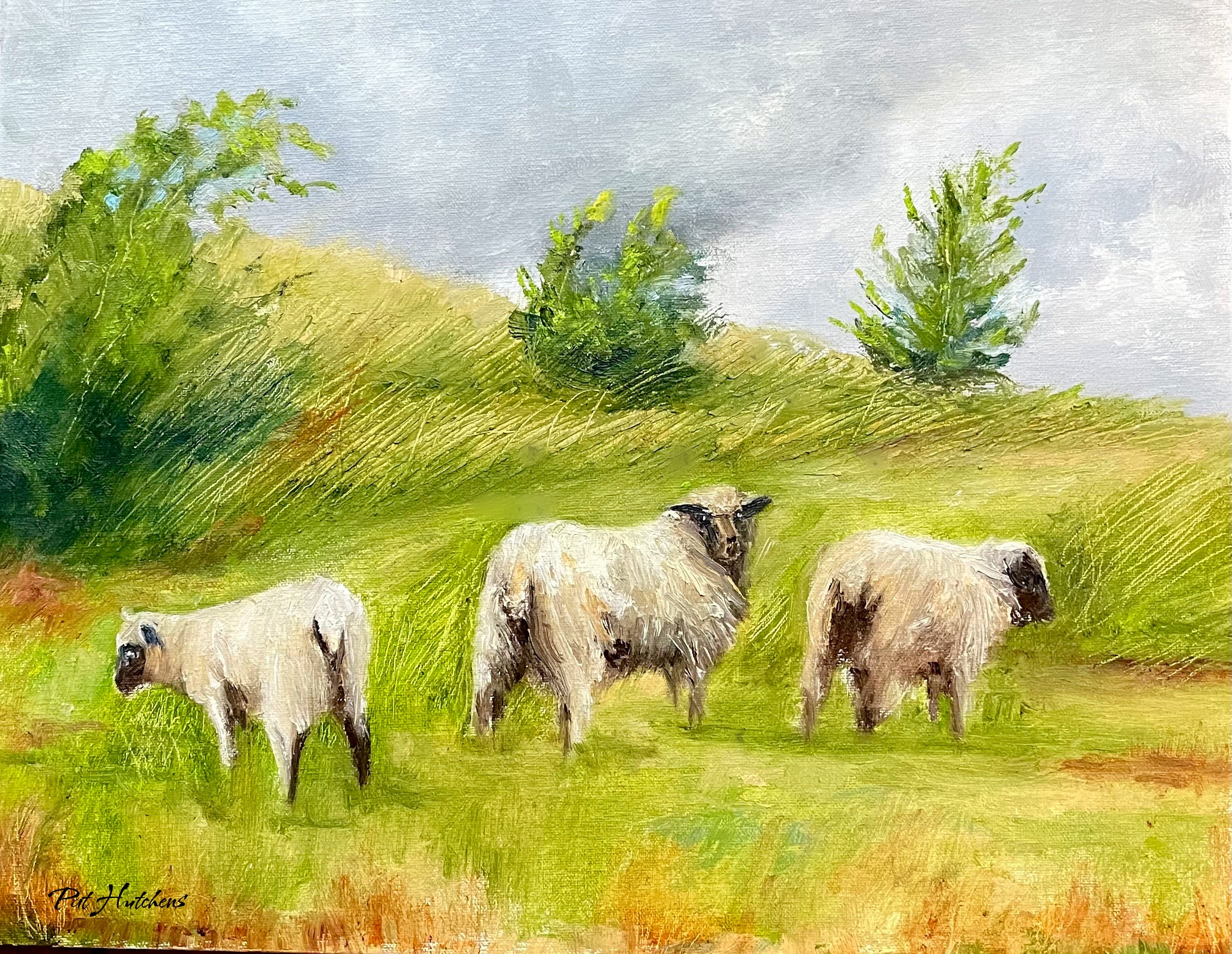 The Good Shephard/ Sheep Paintings/ Sheep Oil Paintings/ Wall Art ...