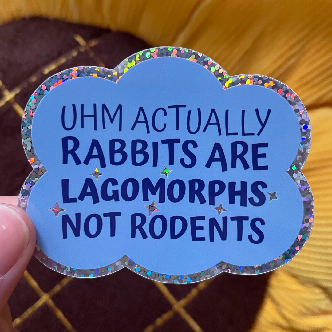 Uhm Actually Rabbits Are Lagomorphs, Not Rodents – Sparkly Bunny ...