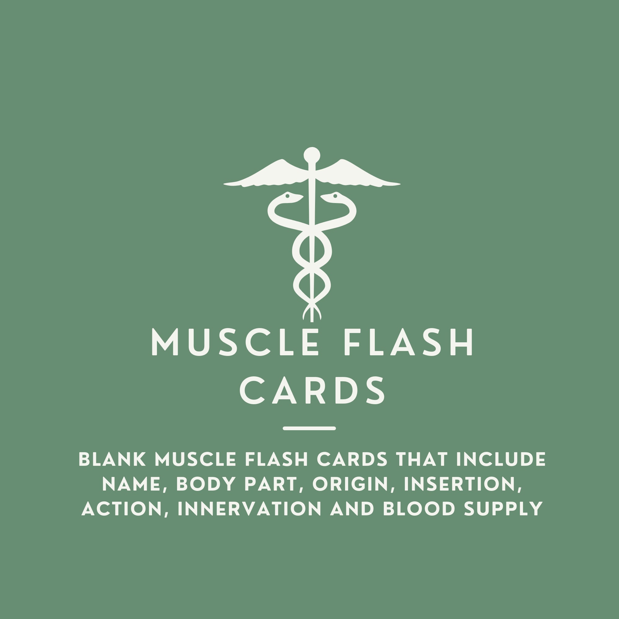 Netter Anatomy Flash Cards for sale| 78 ads for used Netter Anatomy ...