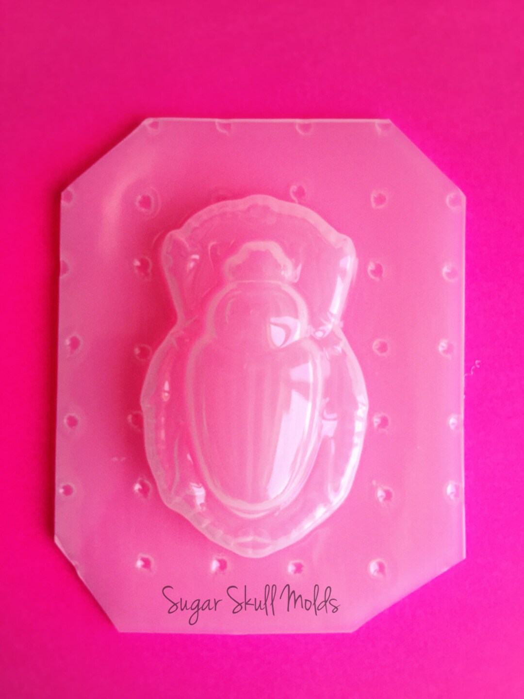 Vintage Detailed Beetle Insect Bug Flexible Plastic Mold for Resin ...