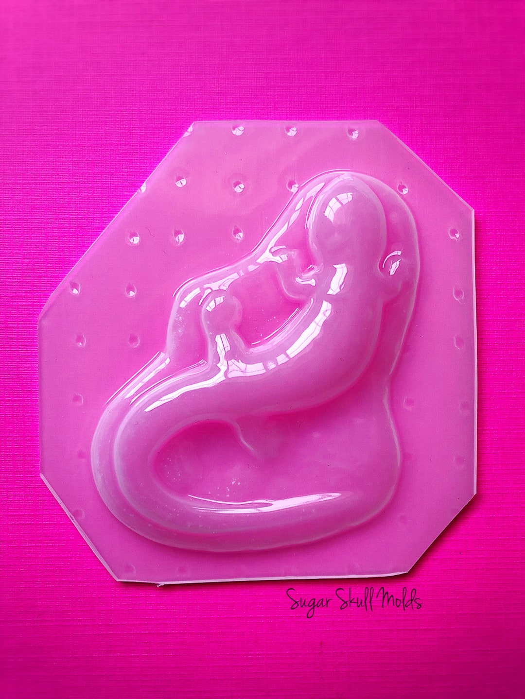 Large Lizard Flexible Plastic Mold for Resin Crafts Jewelry - Etsy