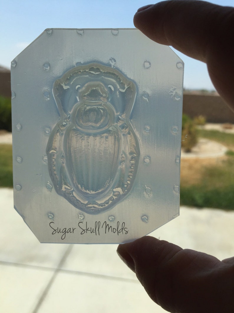 Vintage Detailed Beetle Insect Bug Flexible Plastic Mold for - Etsy