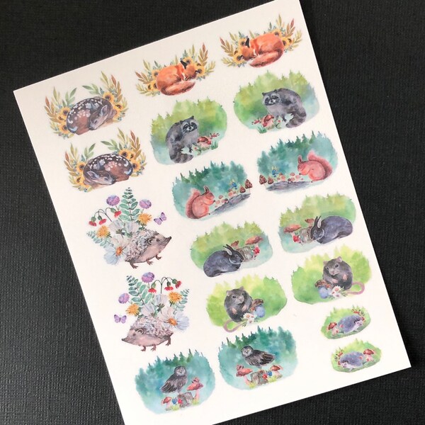 Water Slide Decals - Etsy