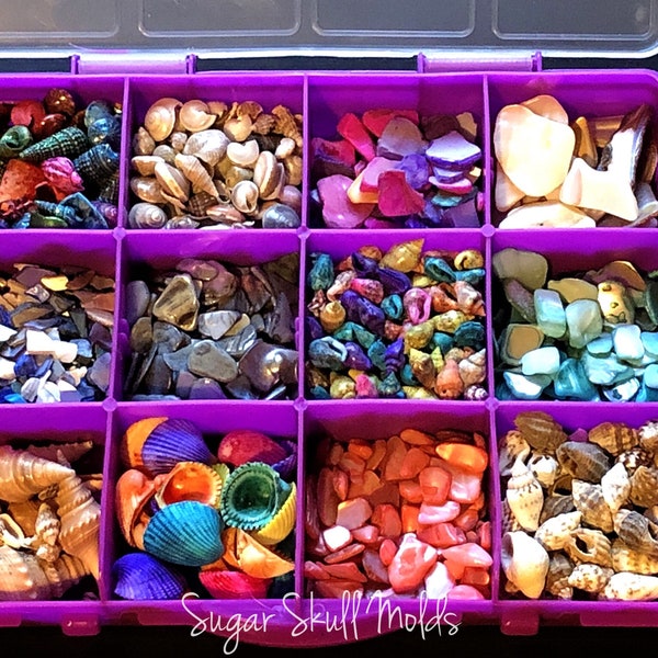 Crushed Sea Shells - Etsy