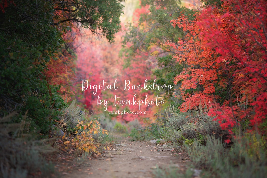 Fall Digital Background - Etsy