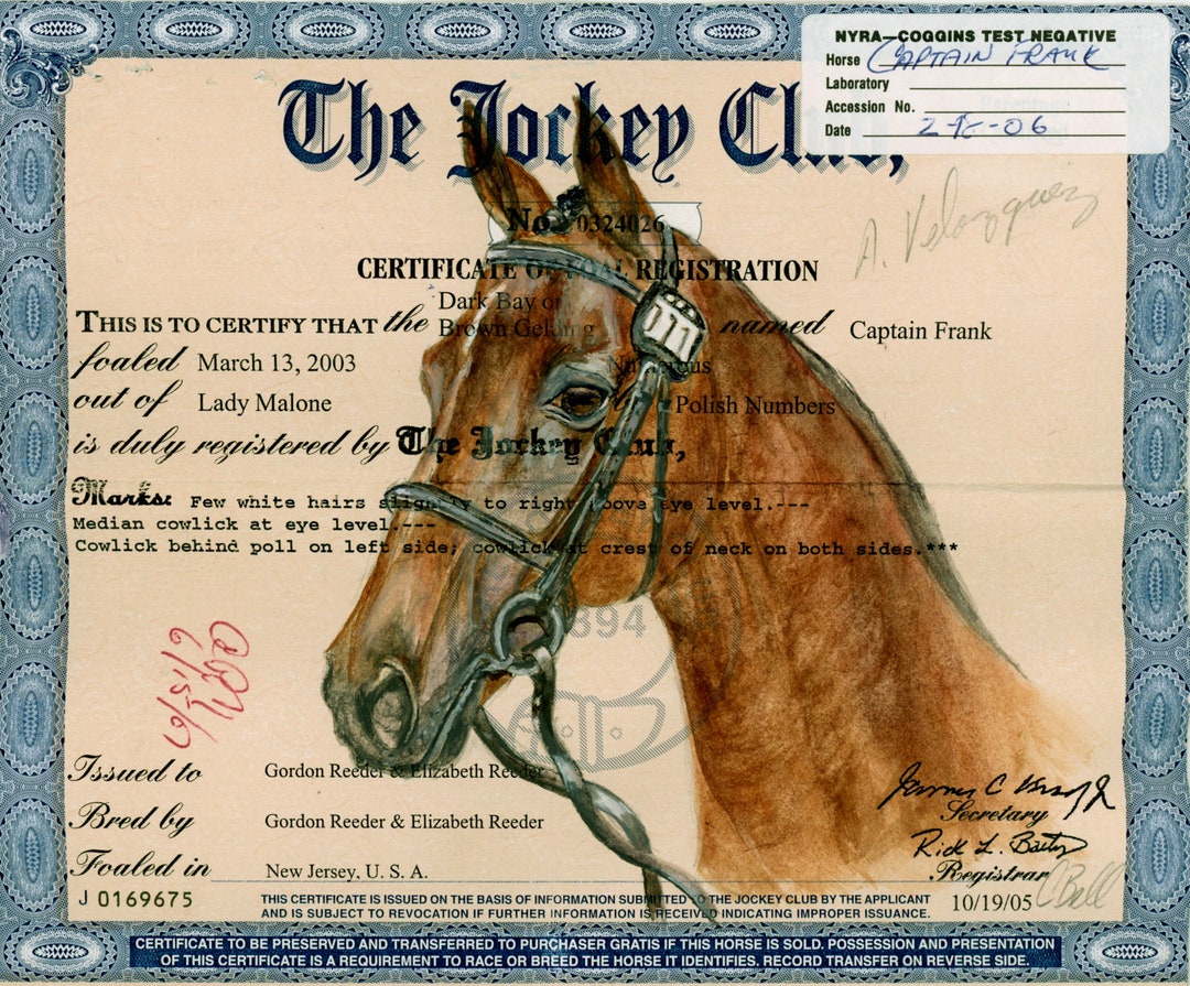 Custom Watercolor Portrait on Jockey Club Papers Custom Thoroughbred ...