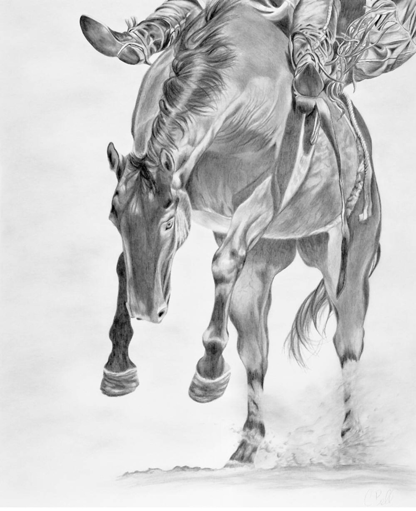 Original Rodeo Drawing, Original Cowboy Rodeo Drawing, Bareback Bronc ...