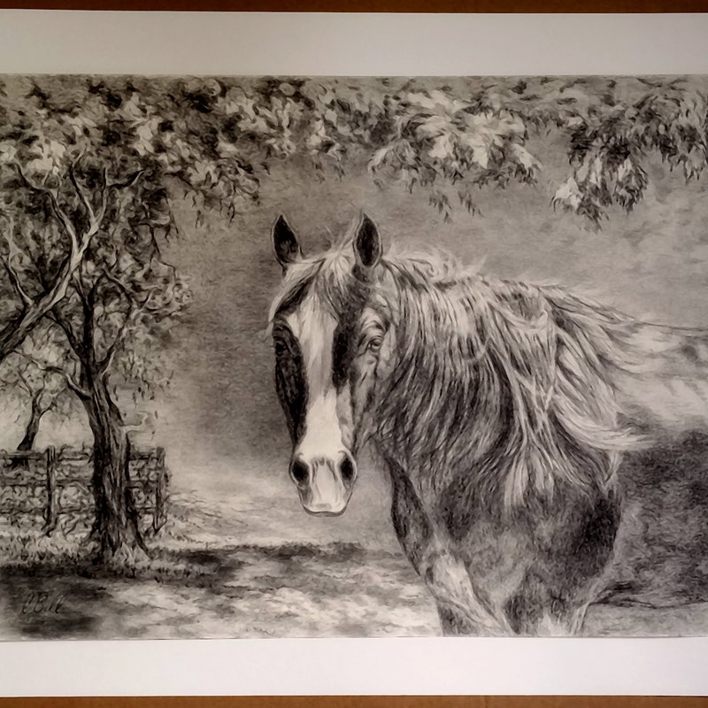 Graphite Drawing - Etsy