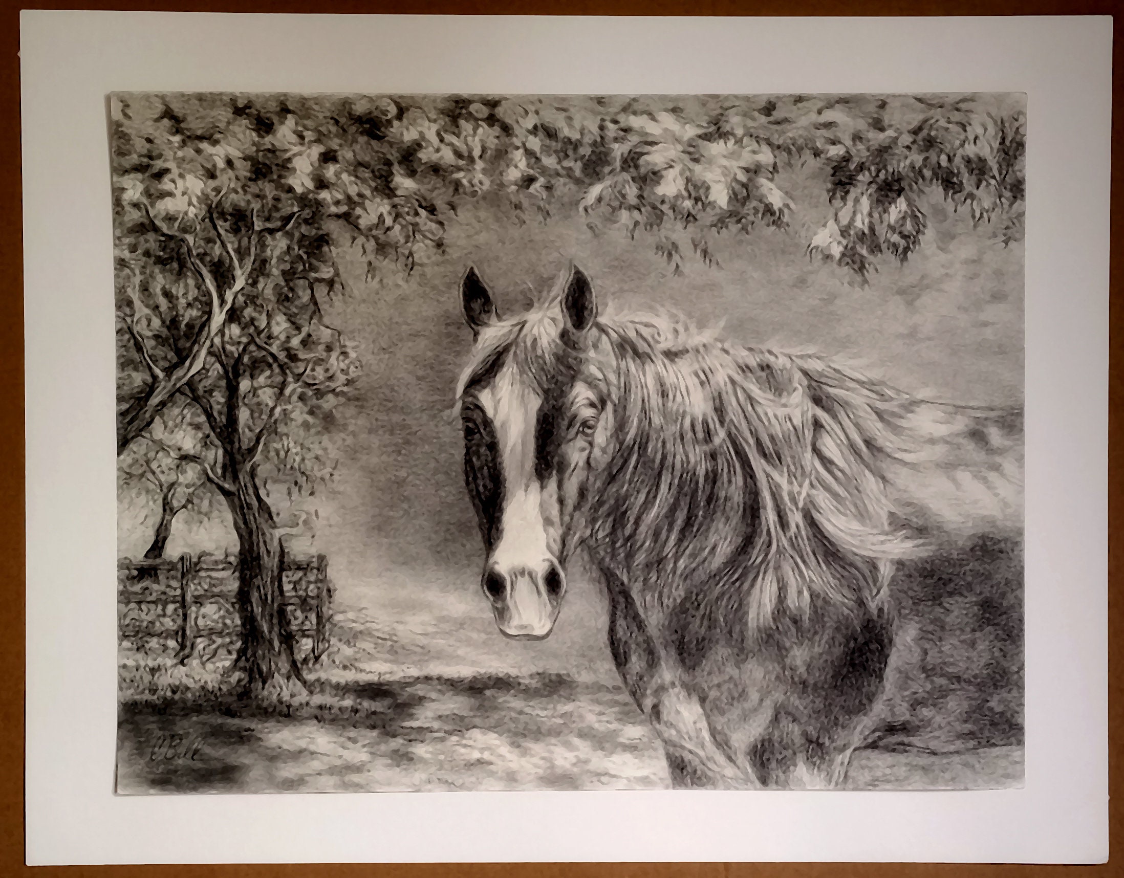 Large Original Stallion Graphite Drawing Stallion by Shining Spark - Etsy