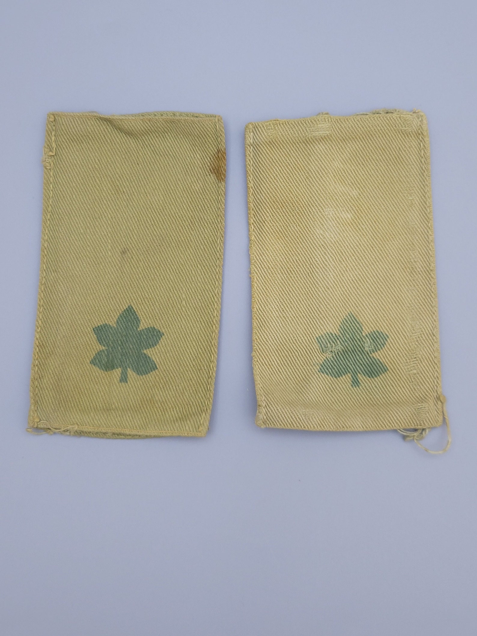 Vintage Old Style Fig Leaves IDF MAJOR RANKS ,field Set - Etsy