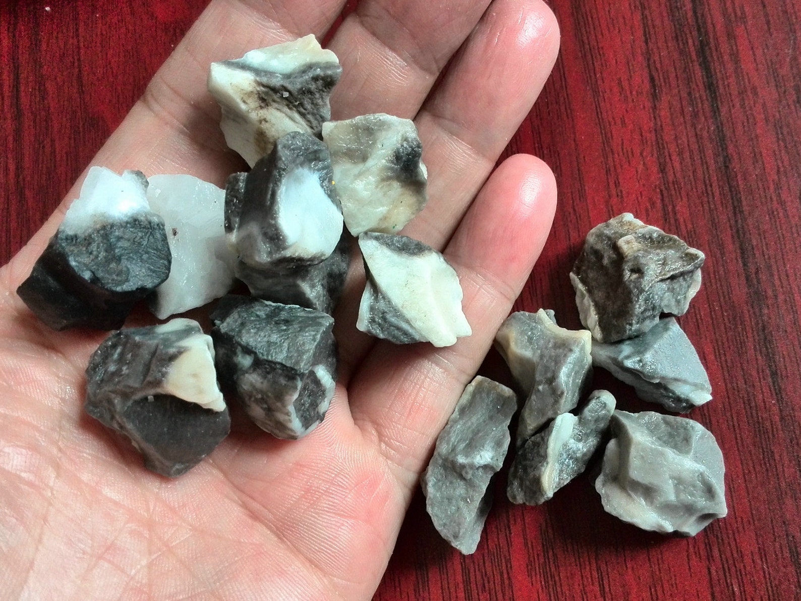 Black White Shell Fossil Stone Raw Rough Gemstones Chunks | Etsy