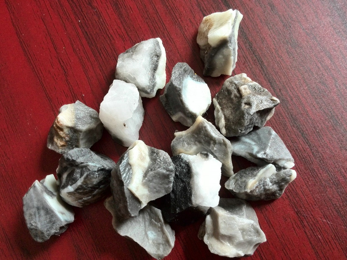 Black White Shell Fossil Stone Raw Rough Gemstones Chunks | Etsy