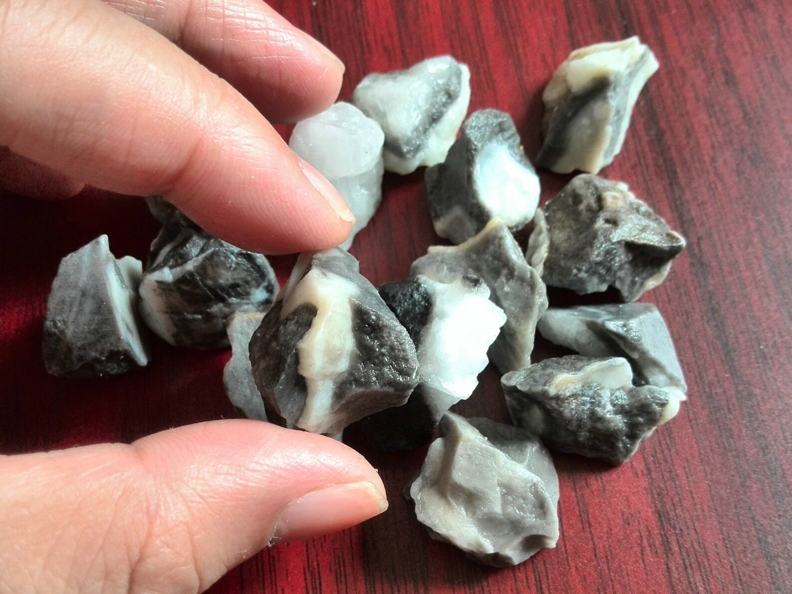 Black White Shell Fossil Stone Raw Rough Gemstones Chunks | Etsy