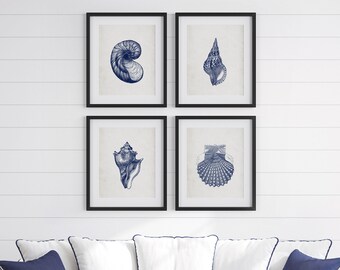 Sea Shell Digital Print - Etsy
