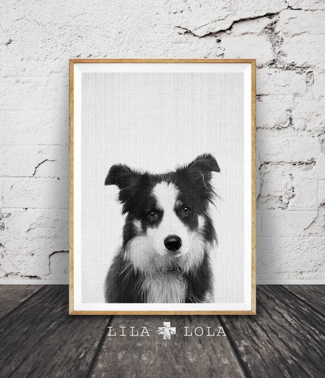 Border Collie Wall Art Print, Dog Photo, Nursery Animal Decor ...