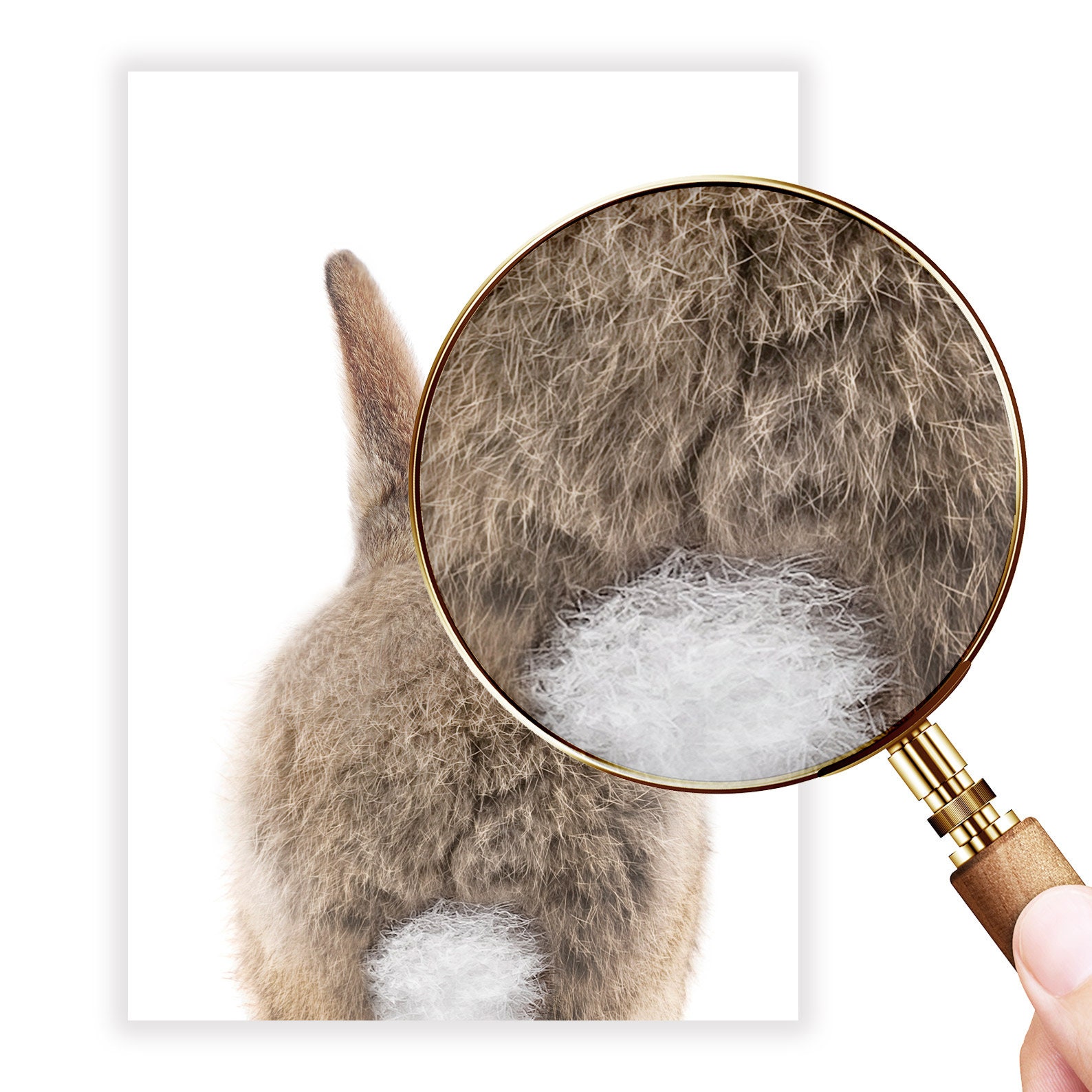 Bunny Rabbit Tail Print Nursery Wall Art Decor Instant | Etsy