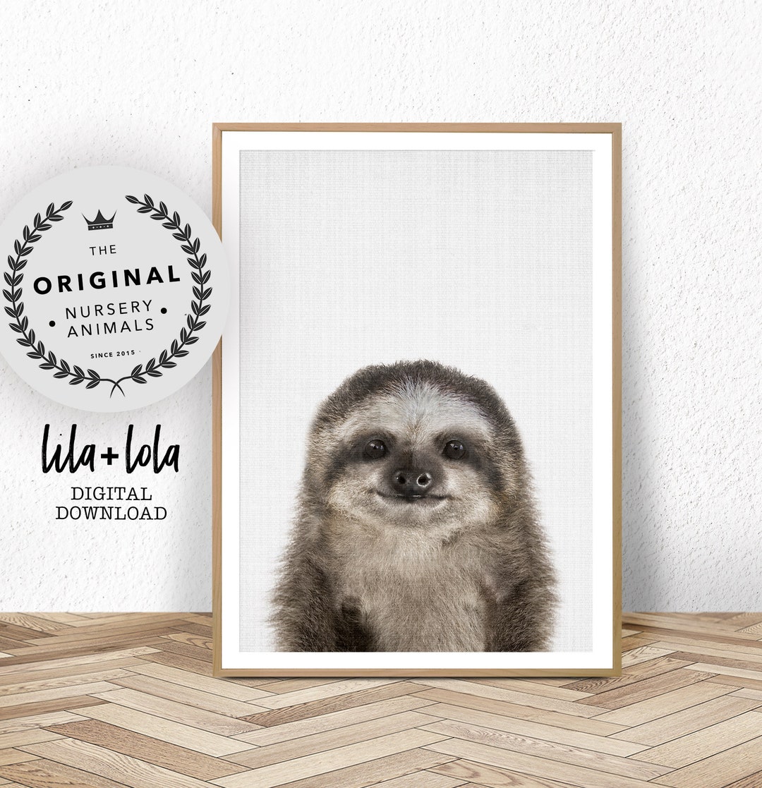 Sloth Print, Printable Digital Download, Nursery Baby Animal Wall Art ...