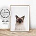 Birman Cat Print, Printable Digital Download, Cat Lover Gift, Baby ...