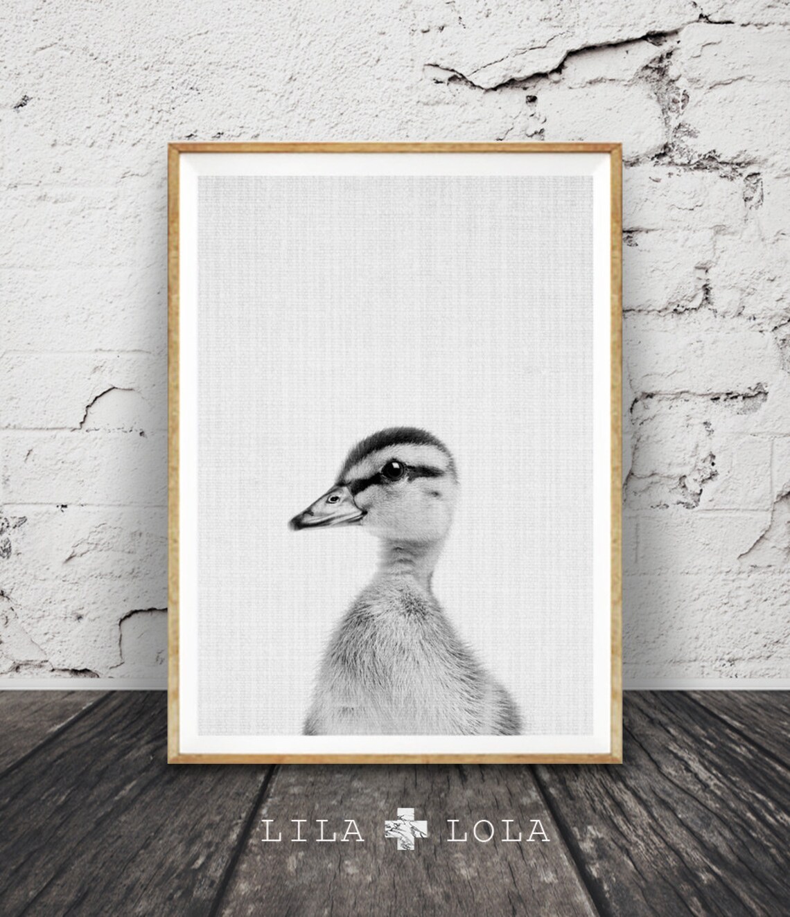 Duckling Print Baby Duck Photo Nursery Farm Animal Wall Art - Etsy