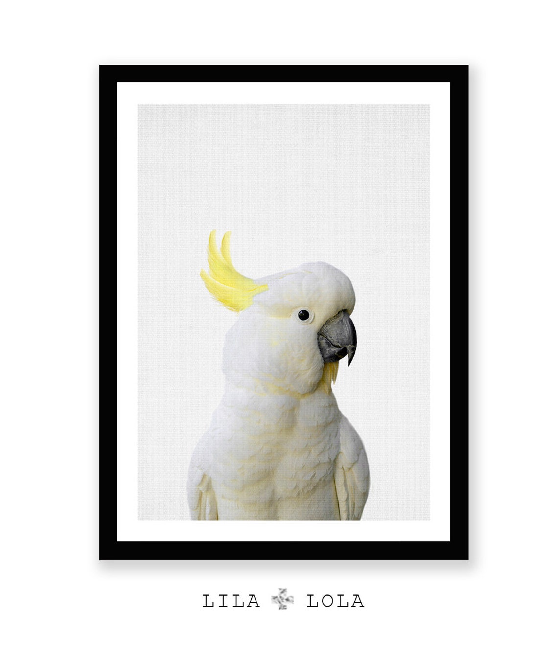 Cockatoo Print Australian Bird Animal Photo Wall Art Colour | Etsy