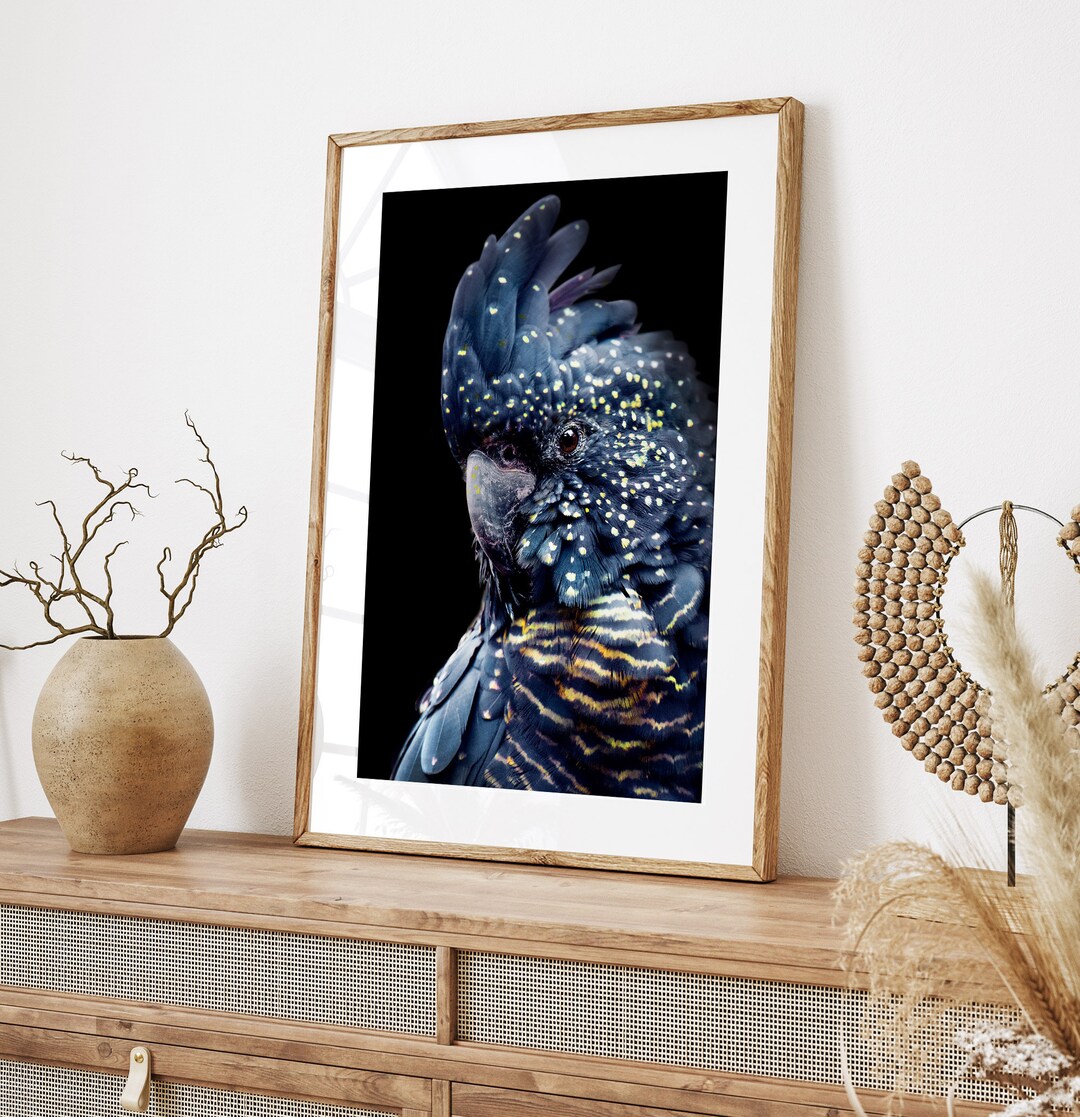 Australian Bird Print, Printable Black Cockatoo Wall Art, Parrot ...