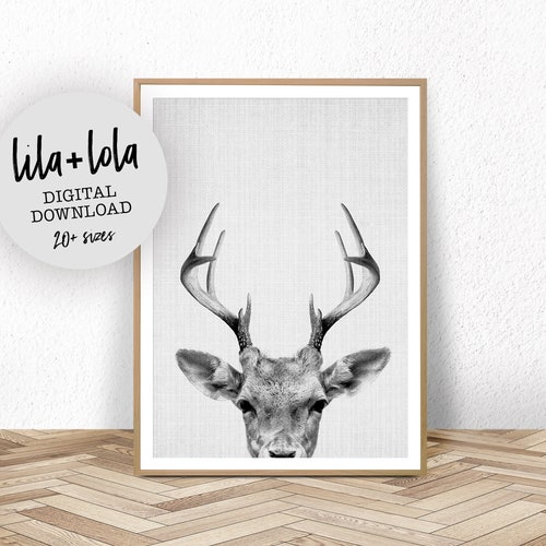 Deer Print Deer Head and Antlers Printable Wall Art Poster - Etsy