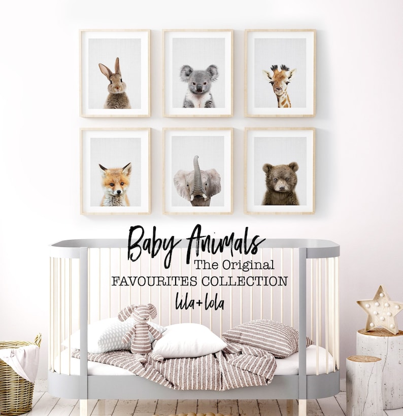 Nursery Animal Prints: Baby Room Decor, Set of 6 (digital Download) - Etsy