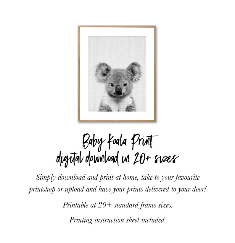 Koala Print Australian Animal Nursery Print Nursery Wall Art | Etsy