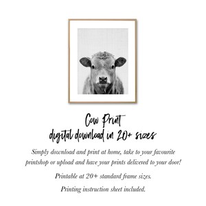 Farmhouse Decor, Cow Print, Printable Wall Art, Farm Animal Poster ...