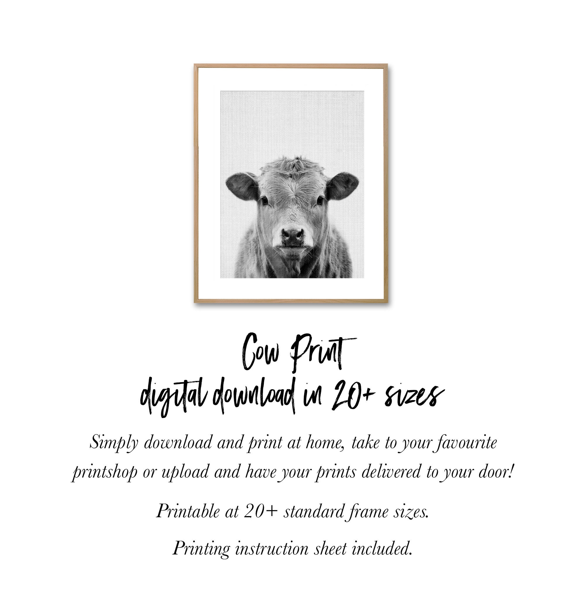 Farmhouse Decor Cow Print Printable Wall Art Farm Animal - Etsy