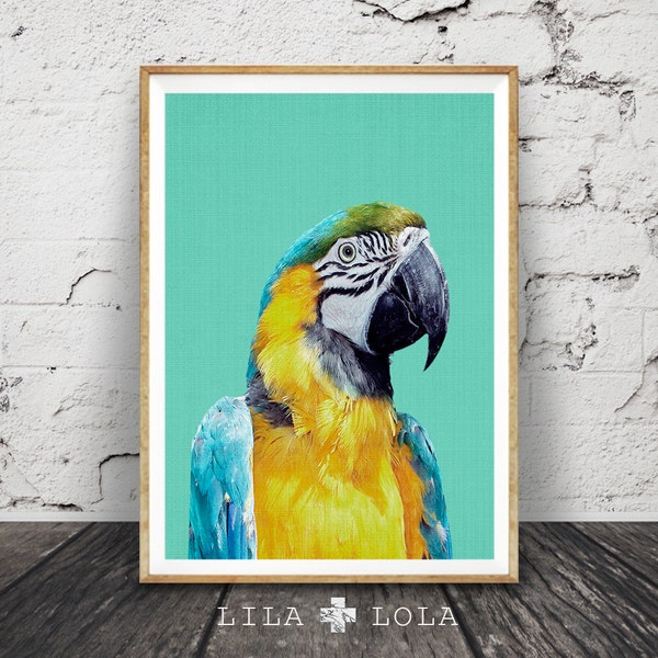 Parrot Poster - Etsy