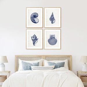 Blue Sea Shell Print Set of 4 ~ Nautical, Coastal, Beach Home Decor ...