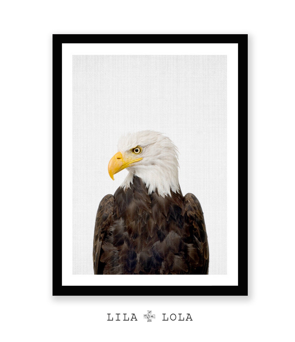 Bald Eagle Print American Eagle Wall Art Poster Printable - Etsy