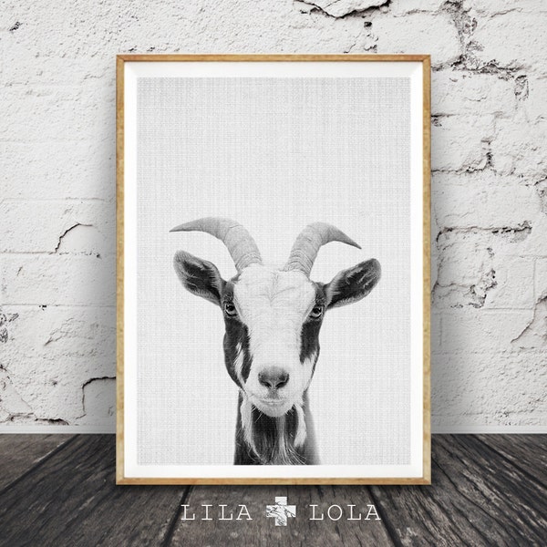 Goat Poster - Etsy