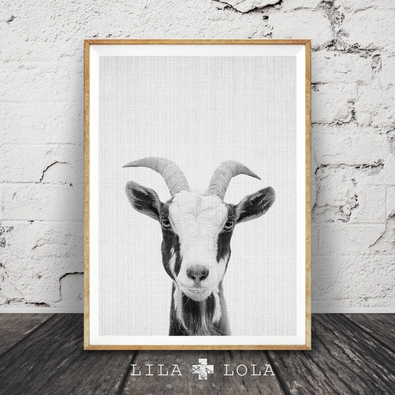 Goat Print - Etsy