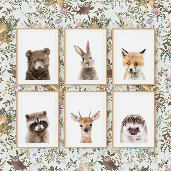 Animal Wall Art - Etsy