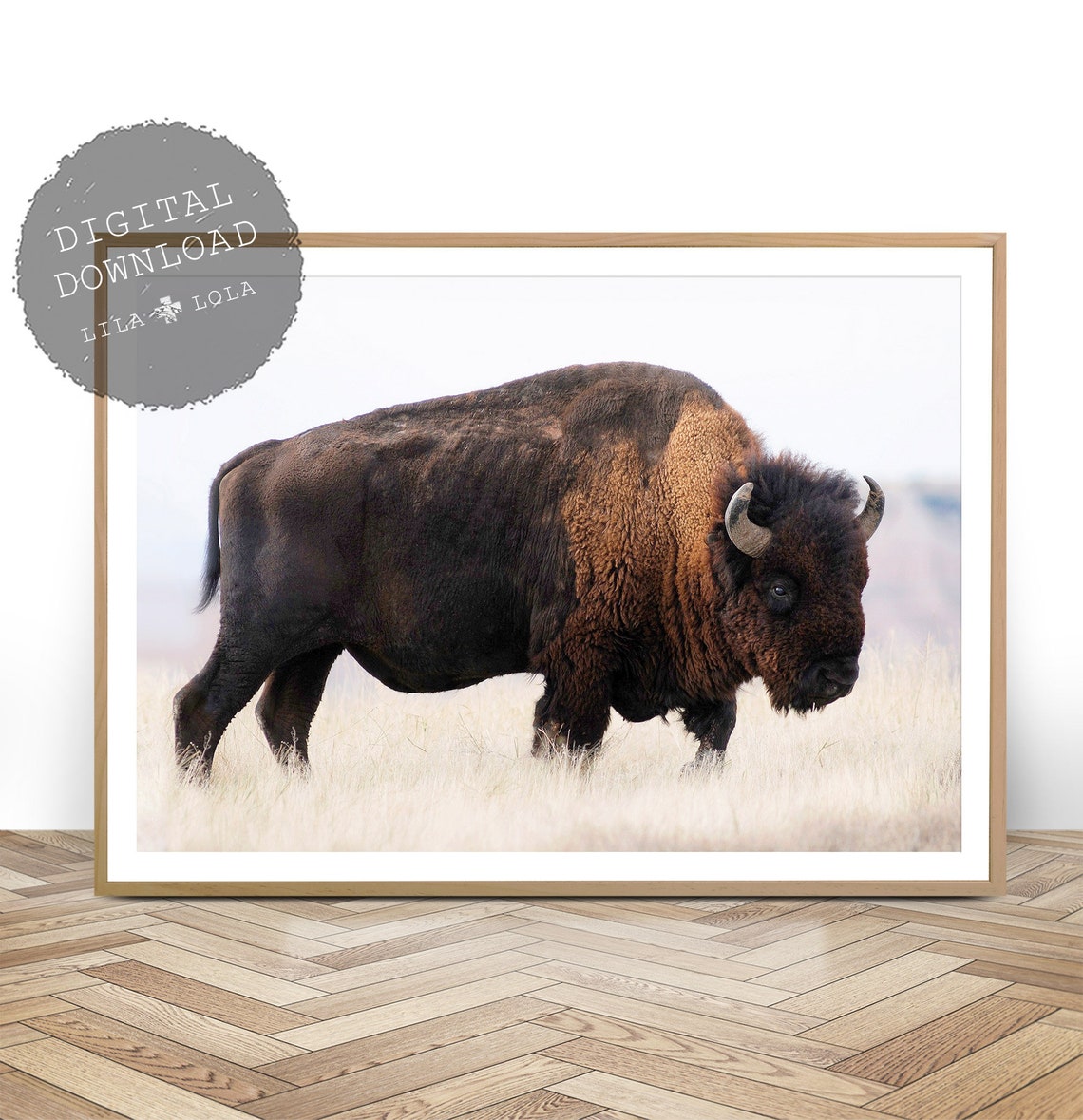 Bison Buffalo Wall Art Print Digital Download Photography - Etsy
