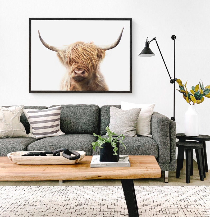 Highland Cow Print Printable Wall Art Colour Cow - Etsy