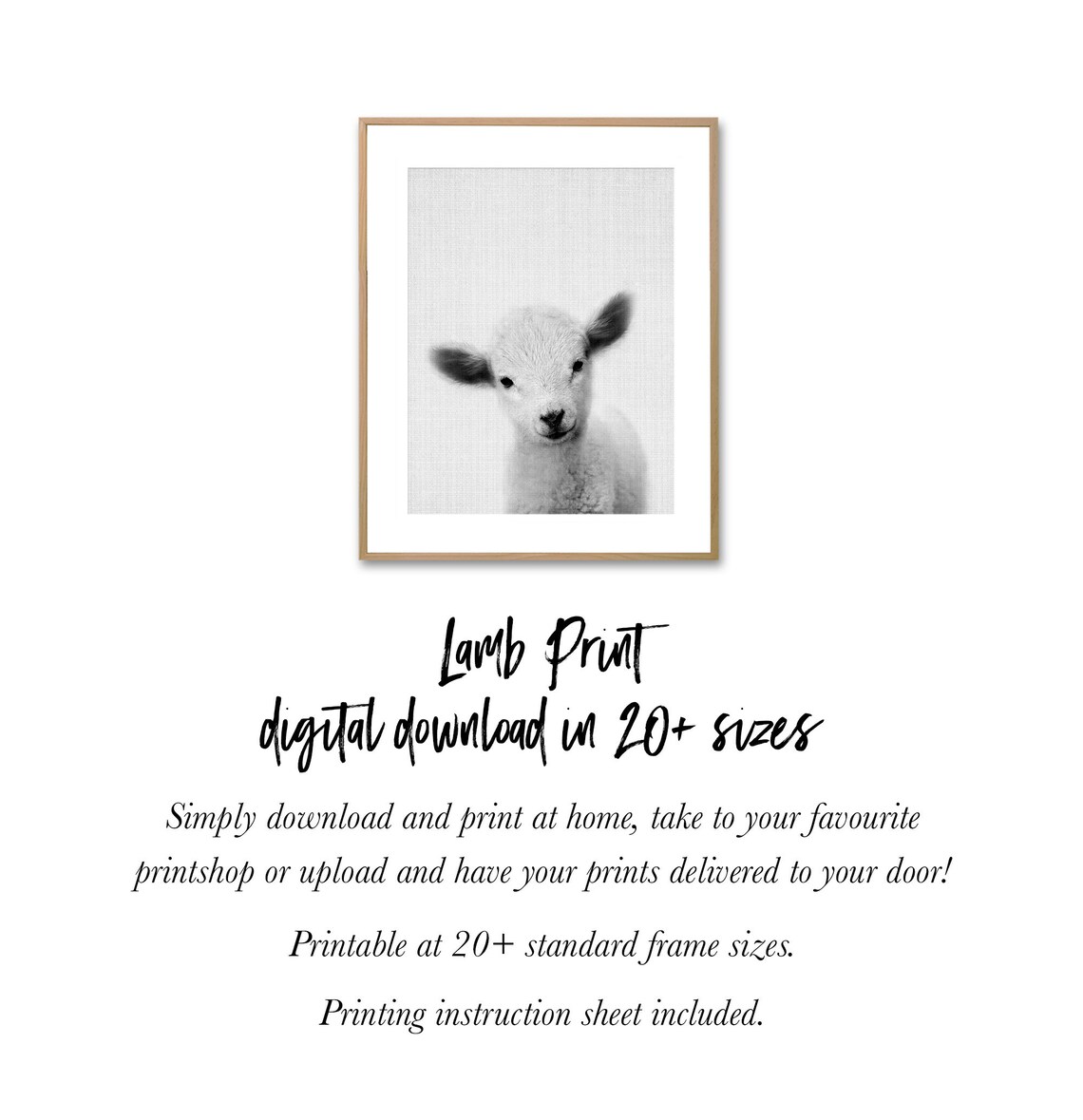 Lamb Print Nursery Farm Animalwall Art Digital Download - Etsy