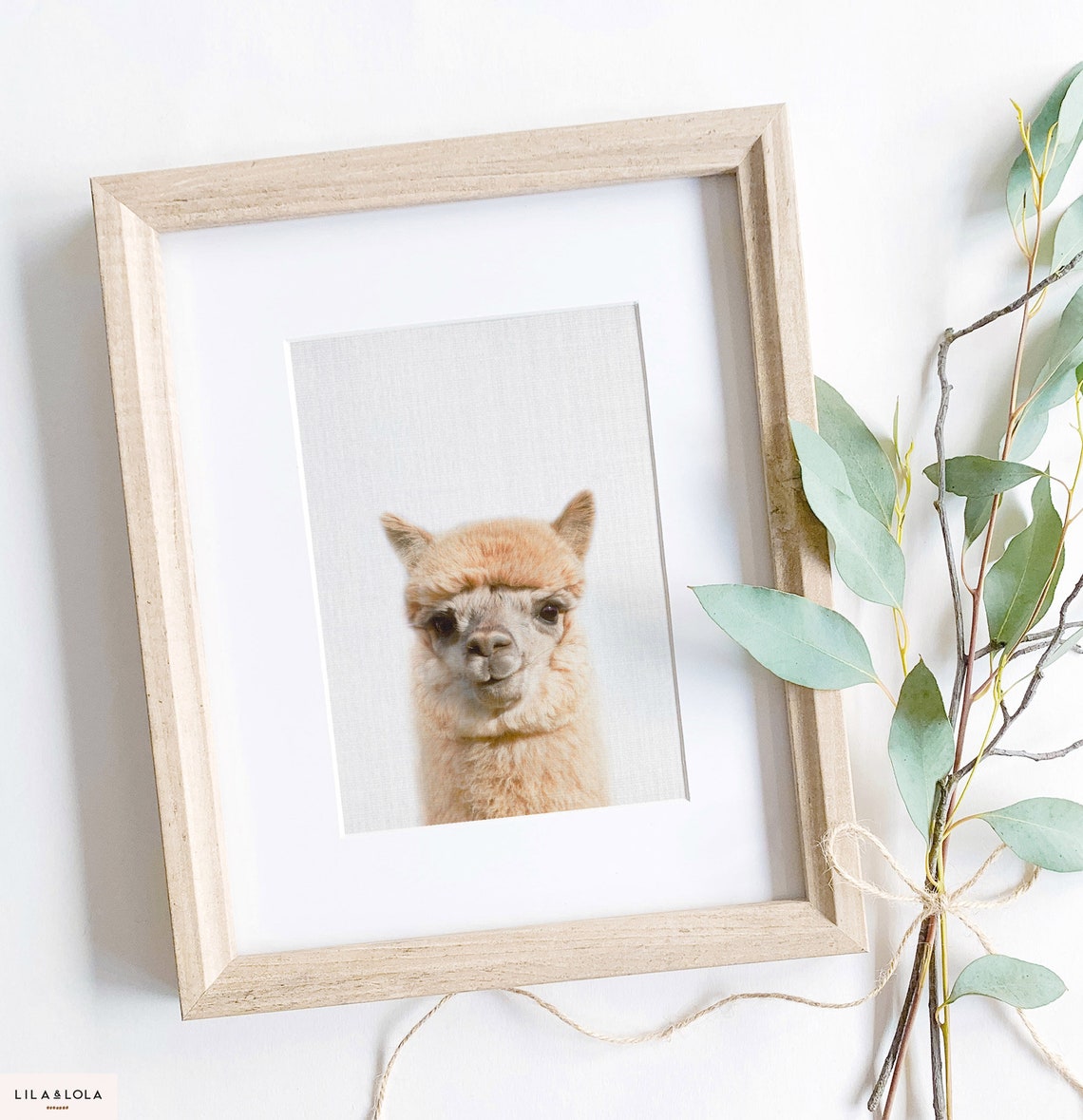 Alpaca Print Llama Wall Art Printed and Shipped Poster - Etsy