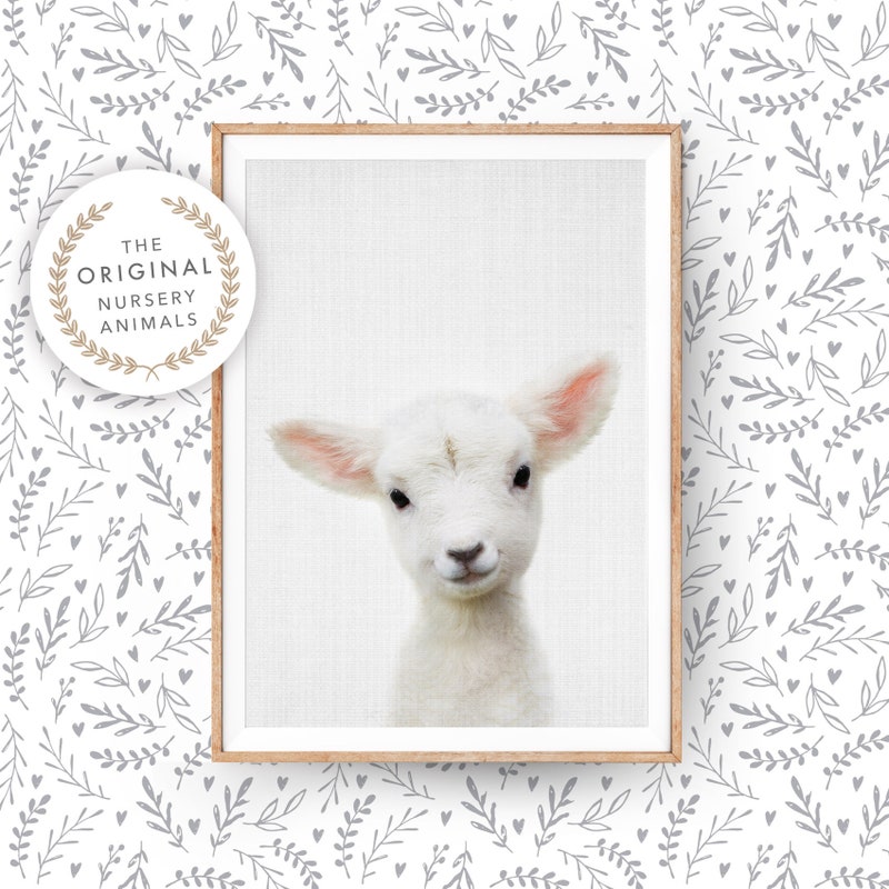 Lamb Art Print - Etsy
